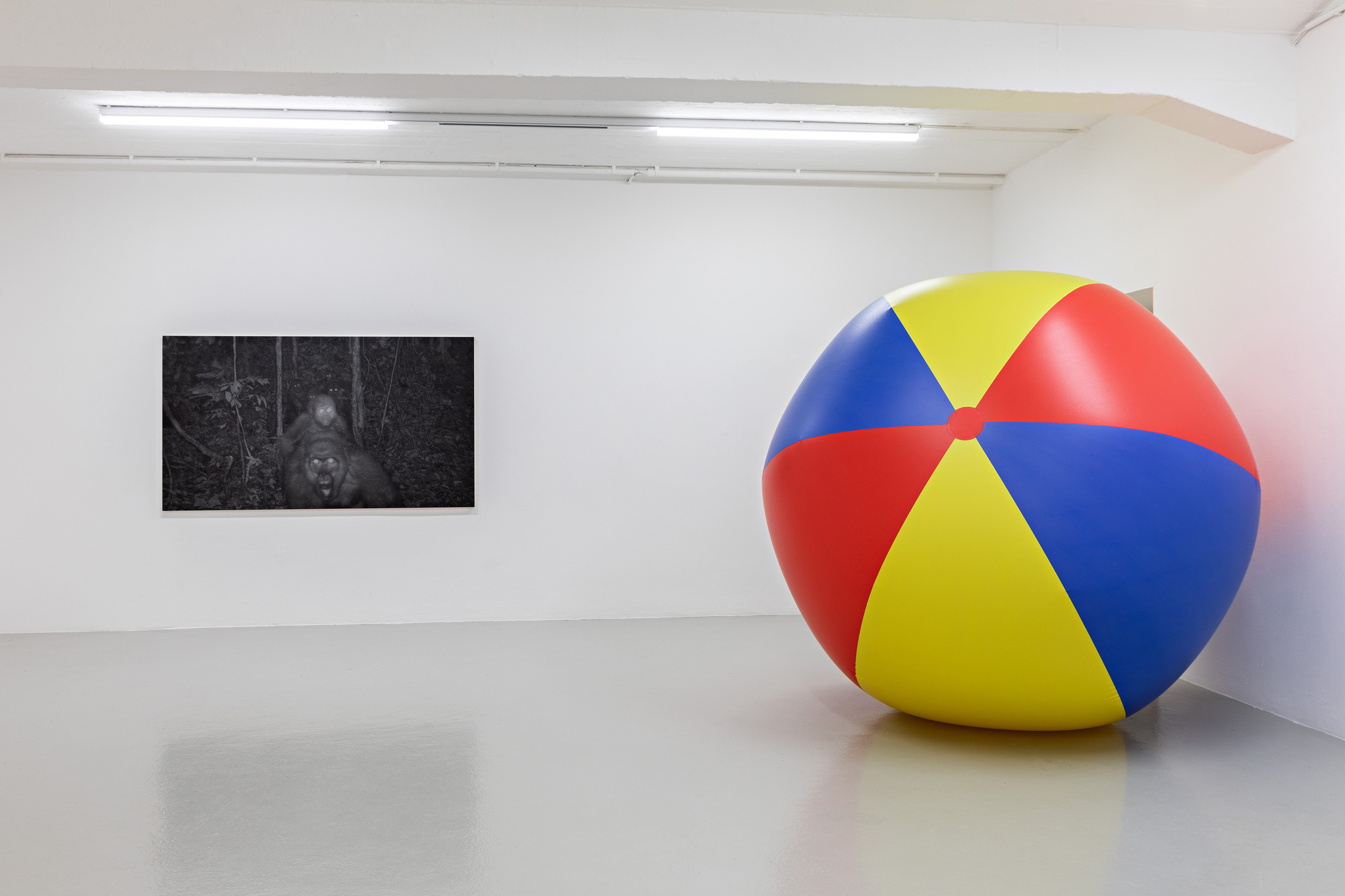 Catinca Tabacaru Gallery