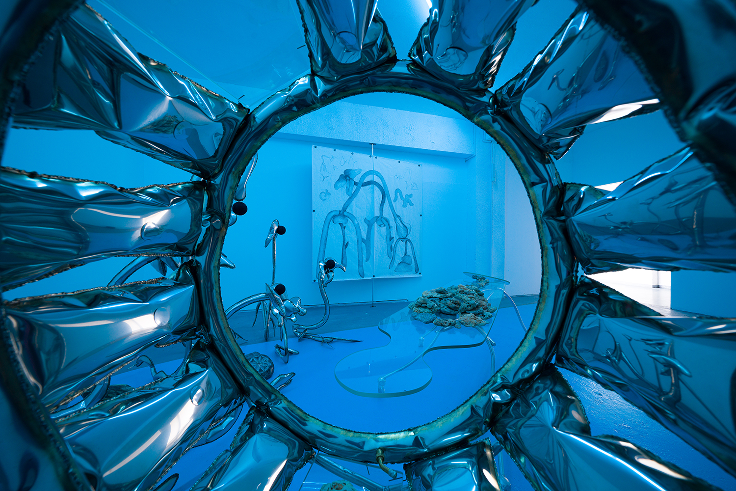 Catinca Tabacaru Gallery