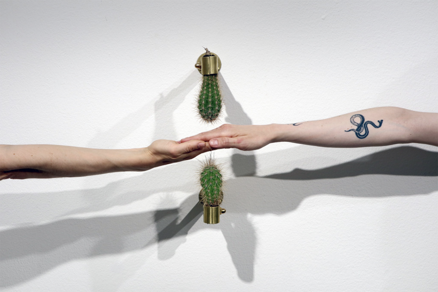 Catinca Tabacaru Gallery