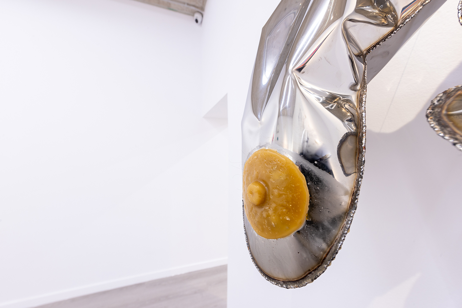 Catinca Tabacaru Gallery