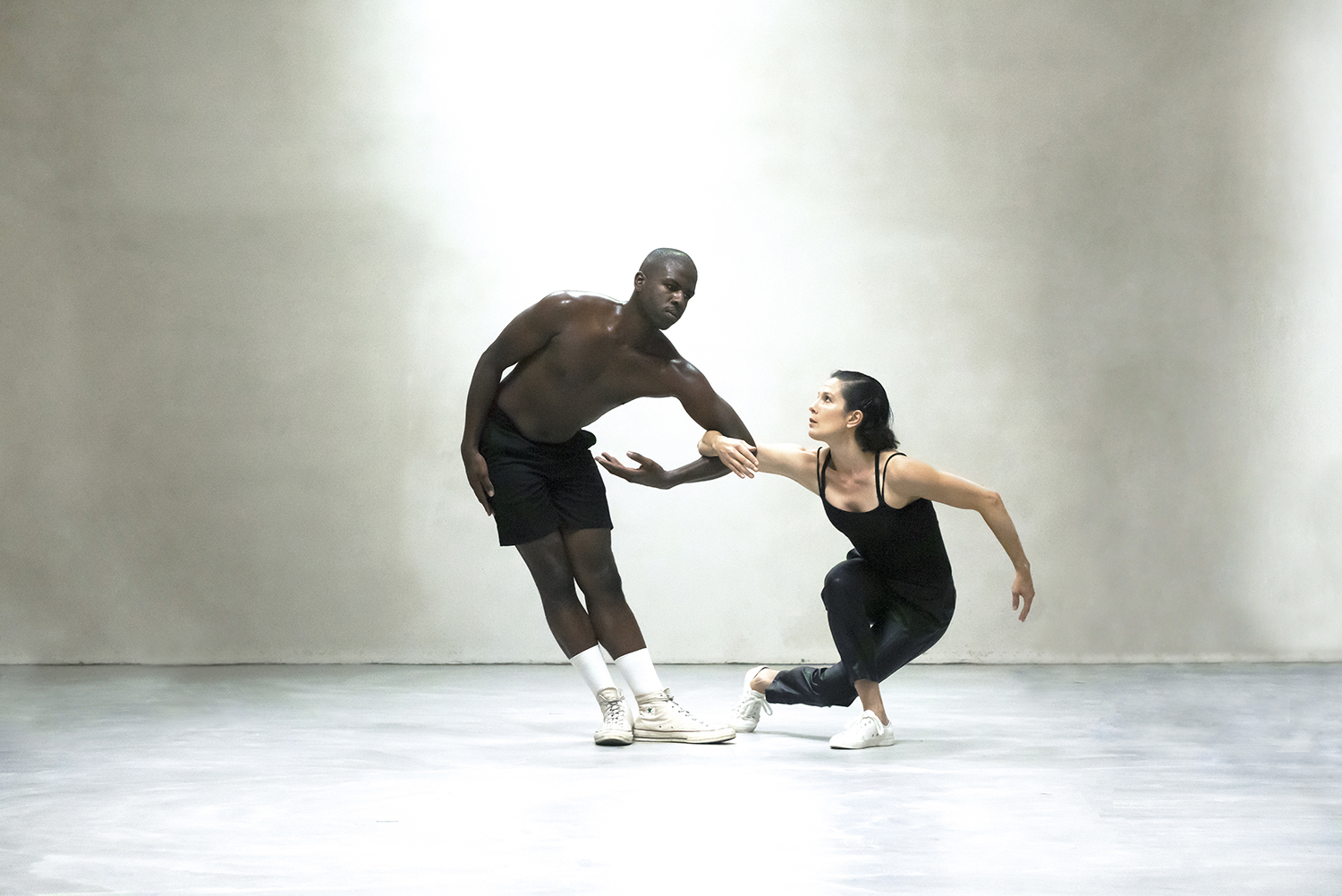 Transcultural Protocol